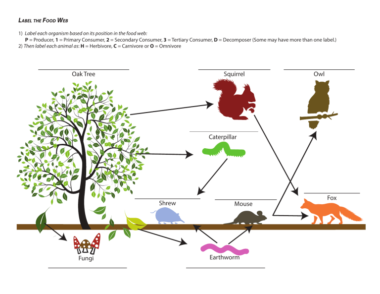Food Web Worksheet: Producers, Consumers, Trophic Levels