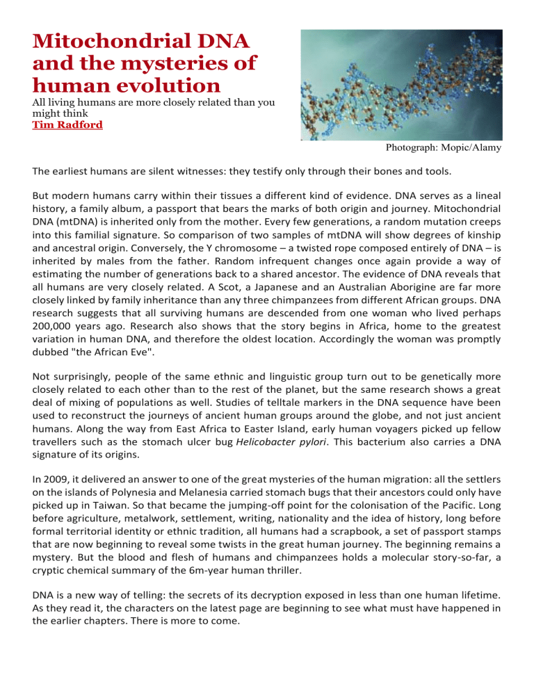 Mitochondrial DNA & Human Evolution: Tracing Ancestry