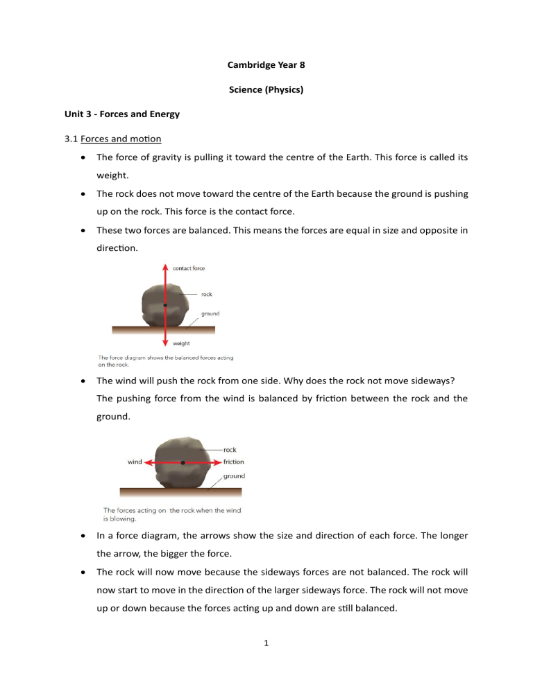 Forces and Energy: Physics Unit for Year 8 Students