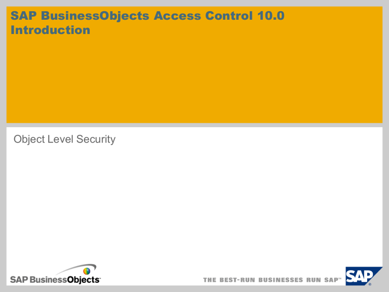 SAP Access Control 10.0: Object Level Security Overview