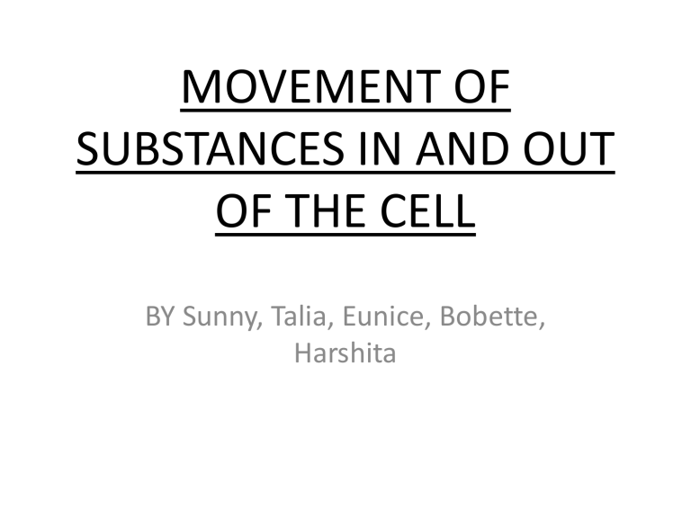 Cell Transport: Movement of Substances In & Out
