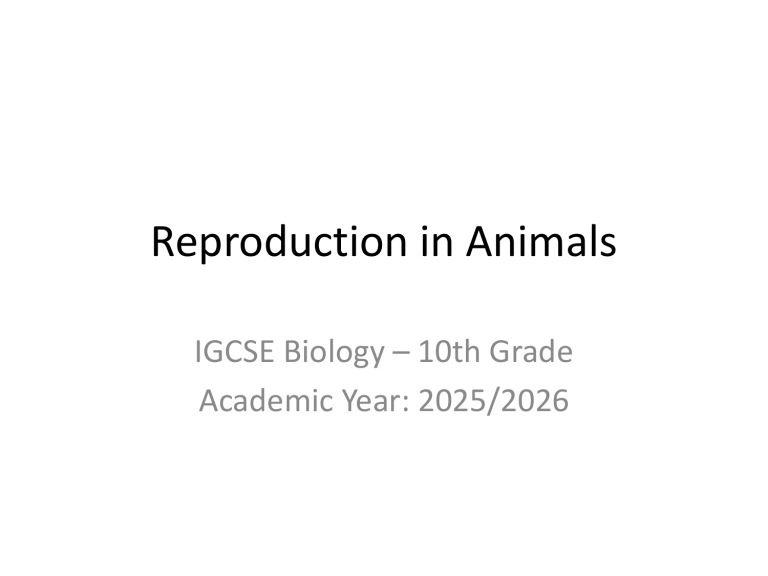 Animal Reproduction: IGCSE Biology Presentation