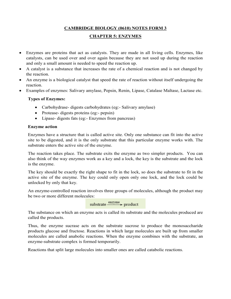 Enzymes: Cambridge Biology Notes (0610) Form 3