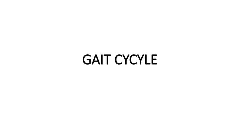 Gait Cycle: Phases, Muscle Activity, and Gait Disorders