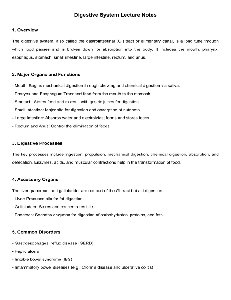 Digestive System: Organs, Processes, and Disorders