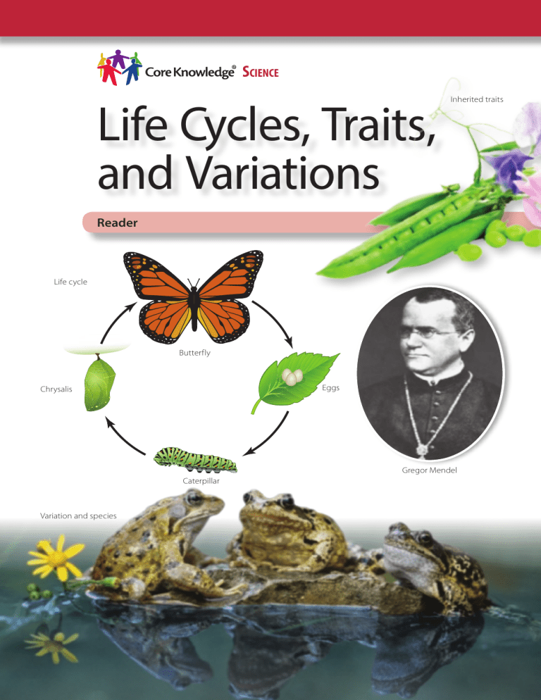 Life Cycles, Traits, and Variations Reader