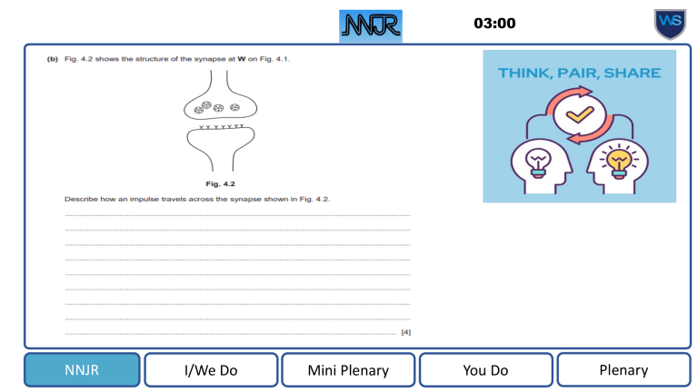 Endocrine System Lesson Plan: Hormones & Glands