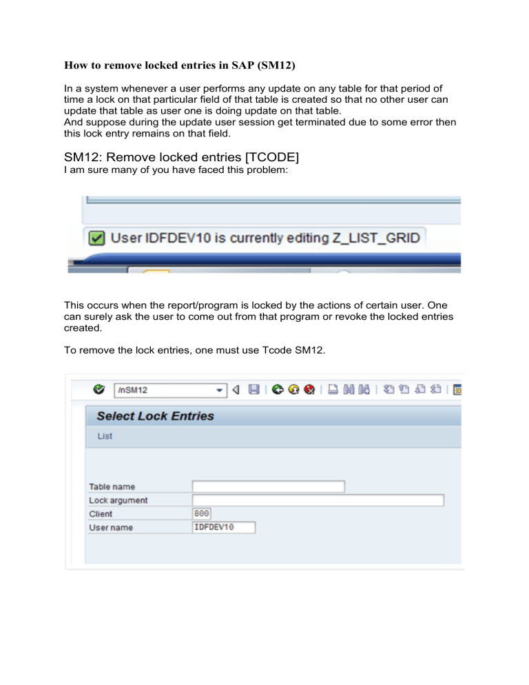 Remove Locked Entries in SAP (SM12) - How-to Guide