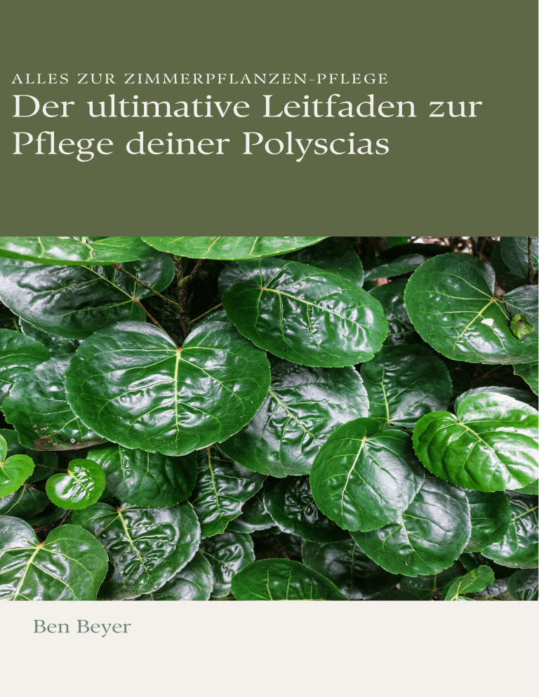 Polyscias Pflanzenpflege: Der ultimative Leitfaden