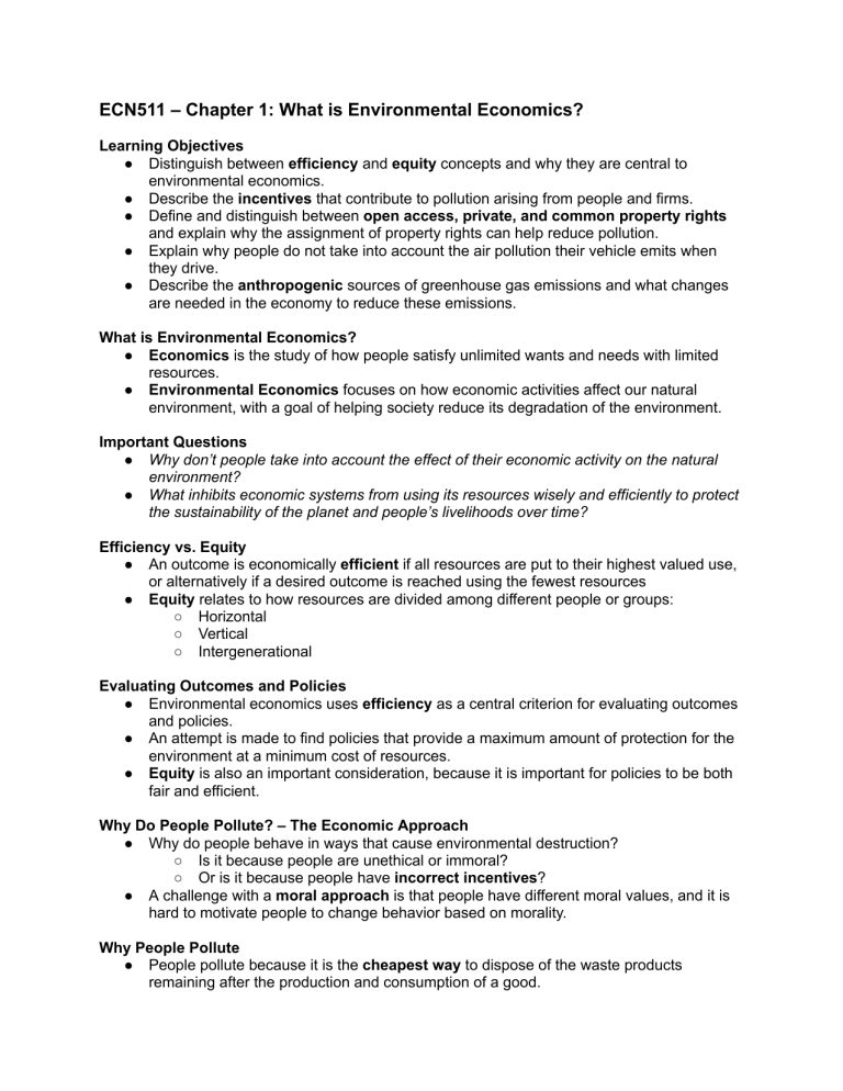 Environmental Economics: Efficiency, Equity, and Pollution