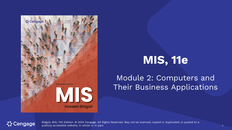 Computer Systems & Business Applications: MIS Module 2