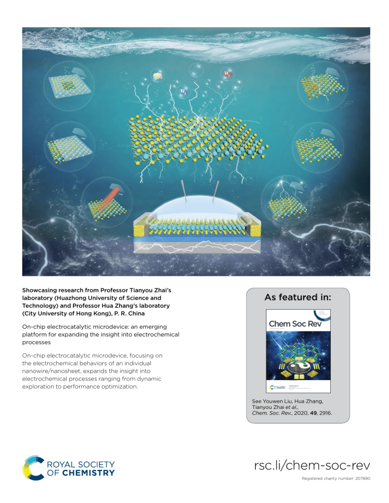 On-Chip Electrocatalytic Microdevices: Electrochemical Insights