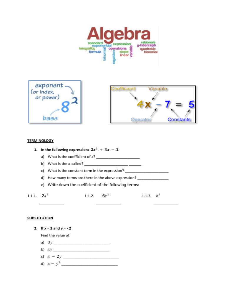 Algebra Worksheet: Terminology, Substitution, Simplification