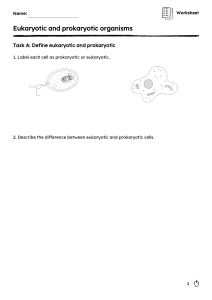 Prokaryotic vs Eukaryotic Cells Worksheet