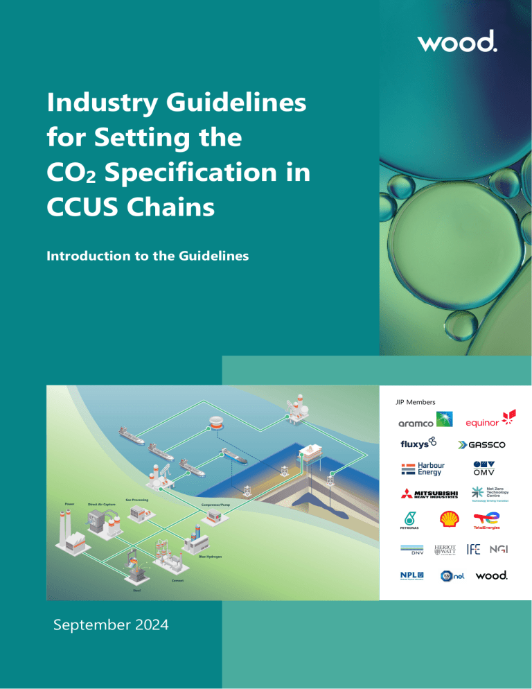 CCUS CO2 Specification Guidelines