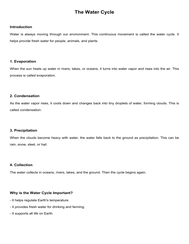 The Water Cycle Explained: Evaporation, Condensation, Precipitation