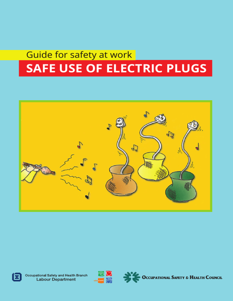 Safe Use of Electric Plugs: A Workplace Safety Guide