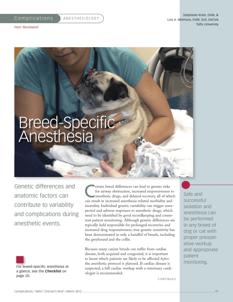 Breed-Specific Anesthesia: Complications & Considerations