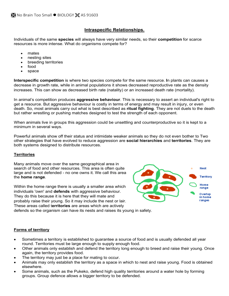 Intraspecific Relationships: Territories & Hierarchies