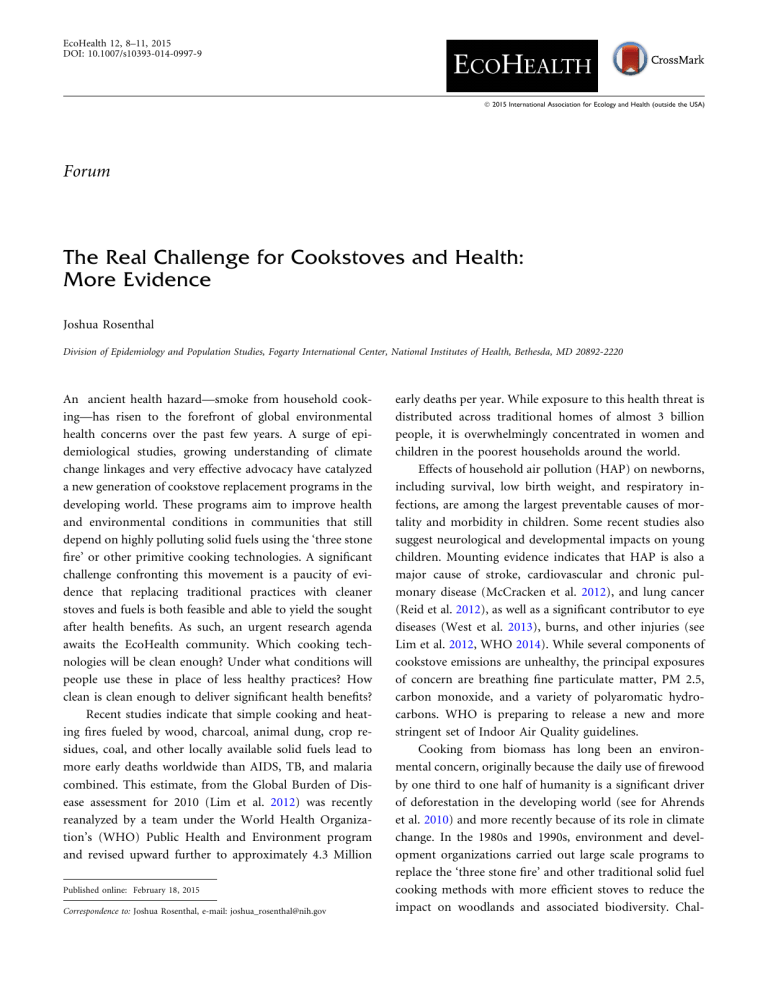 Cookstoves & Health: The Real Challenge | EcoHealth