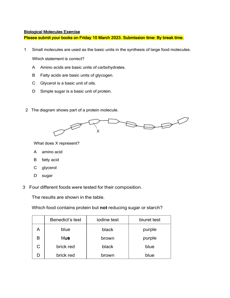 Biological Molecules Exercise: High School Biology