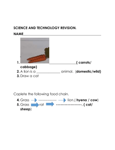 Soil Properties Lab Worksheet