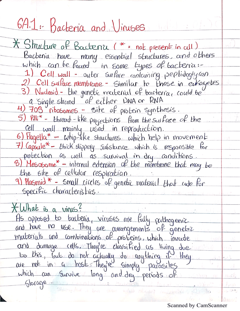 Bacteria and Viruses: Structure & Characteristics