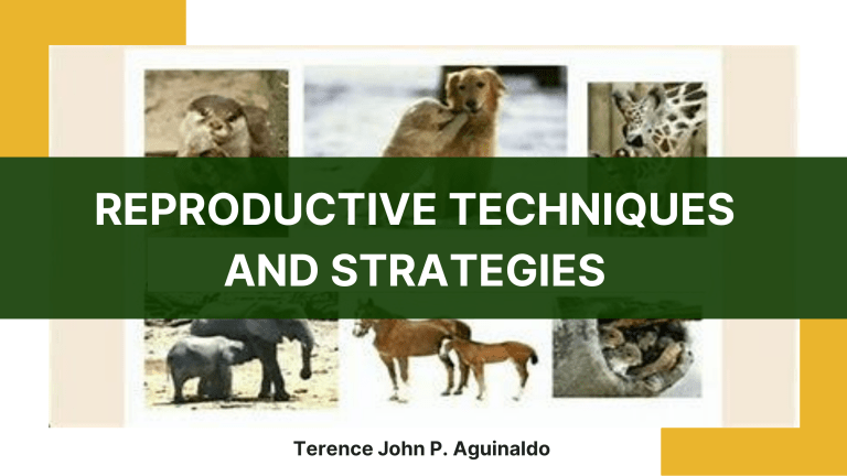 Reproductive Techniques & Strategies in Animal Breeding