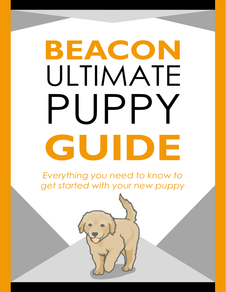 Ultimate Puppy Guide: Training & Care Tips