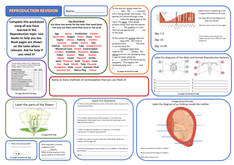 Reproduction Revision Worksheet: Middle School Biology