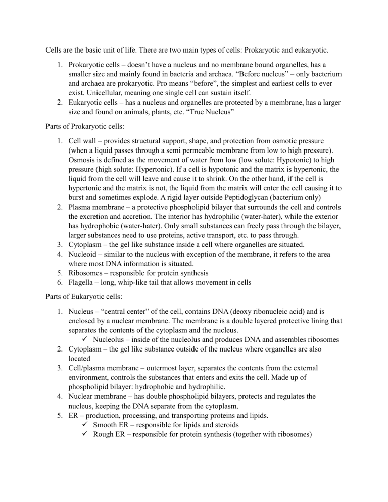 Cell Biology: Prokaryotic, Eukaryotic, Respiration, & Genetics