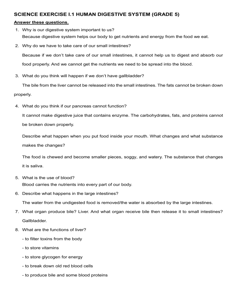 Human Digestive System Exercise - Grade 5 Science