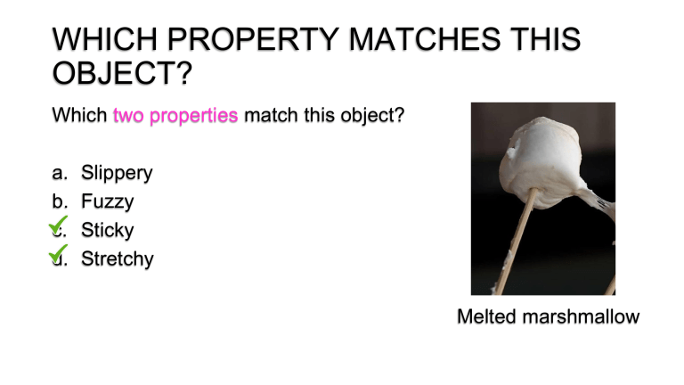 Marshmallow Properties Worksheet