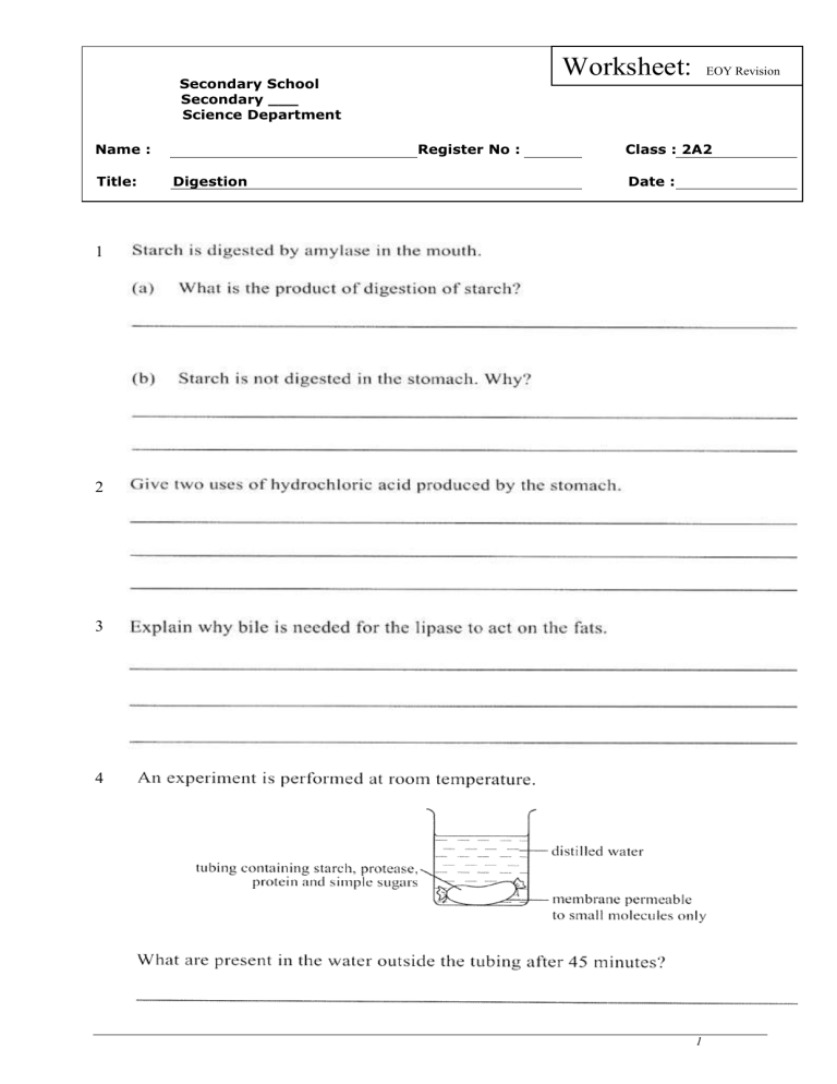 Secondary School Science: Digestion EOY Revision Worksheet
