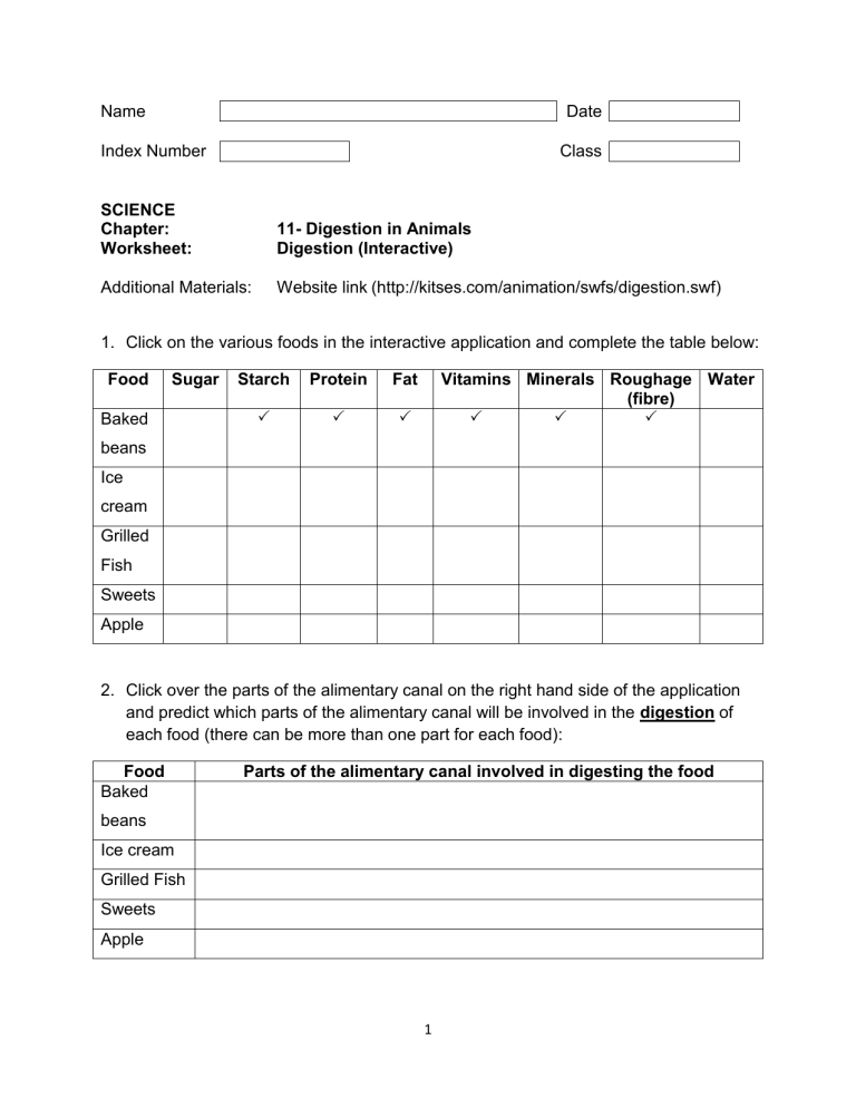 Digestion in Animals Worksheet: Interactive Science Activity