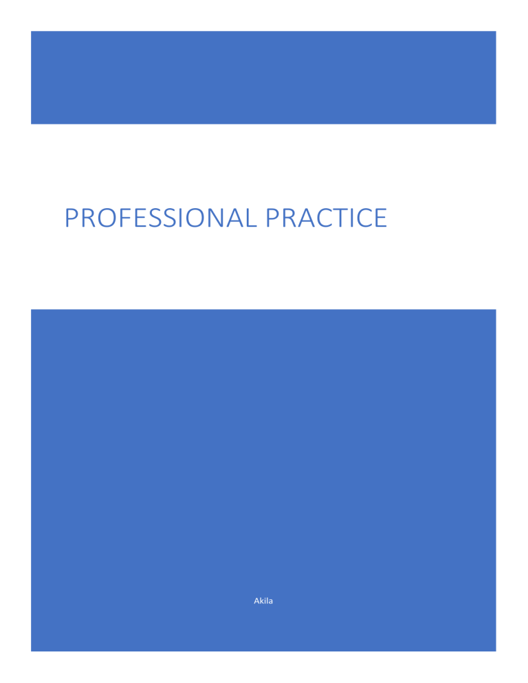 Professional Practice Training Program Assignment Brief