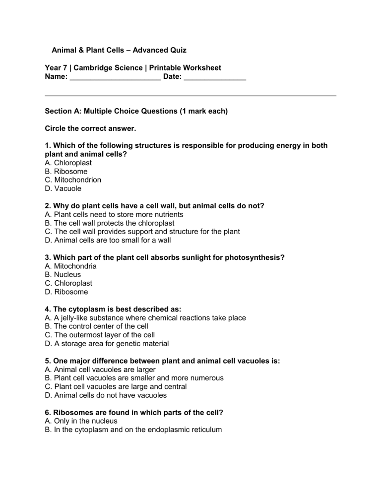 Animal & Plant Cells Quiz: Year 7 Science Worksheet
