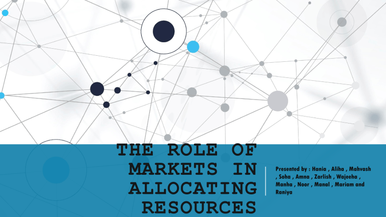 Mixed Economy: Resource Allocation & Market Role