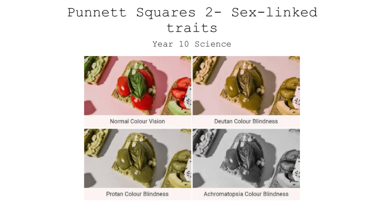 Sex-Linked Traits: Color-Blindness & Hemophilia - Punnett Squares