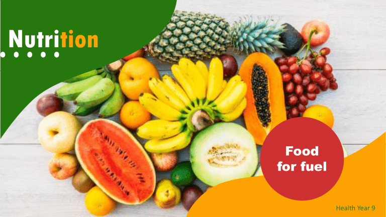 Nutrition: Food for Fuel, Body Composition & Healthy Lifestyle Guide