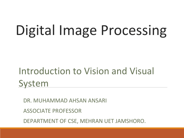 Digital Image Processing: Vision & Visual Systems