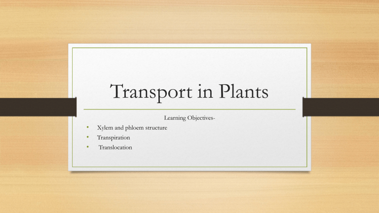 Transport in Plants: Xylem, Phloem, Transpiration, Translocation