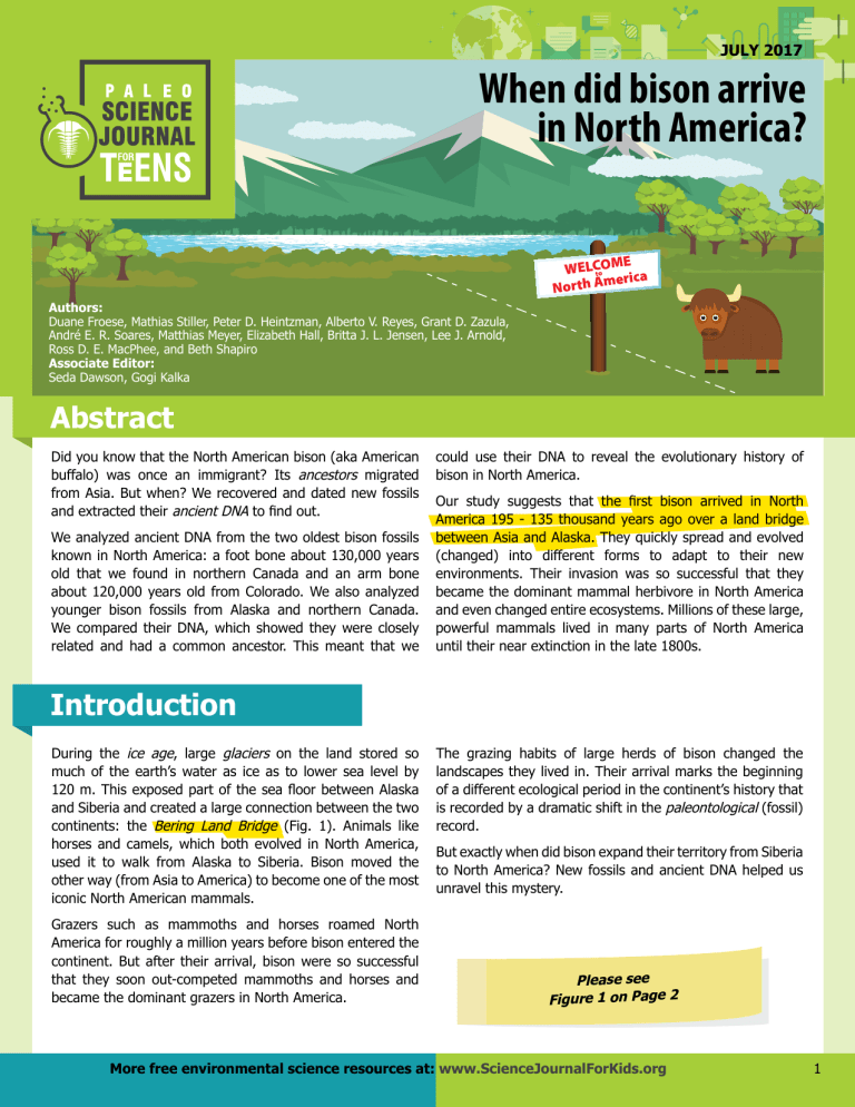 Bison Migration to North America: A DNA Study
