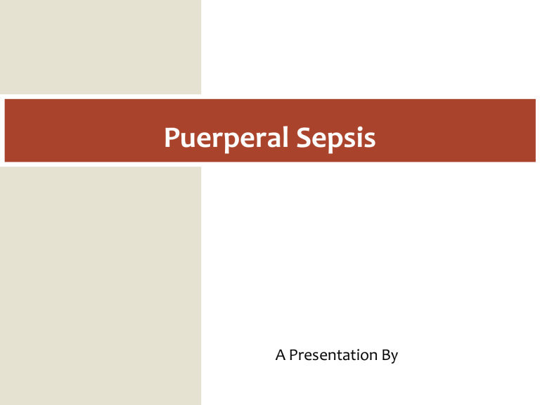 Puerperal Sepsis: Presentation on Postpartum Infection