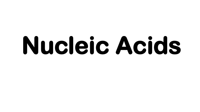 Nucleic Acids: DNA, RNA Structure, Replication, Genetic Code ...