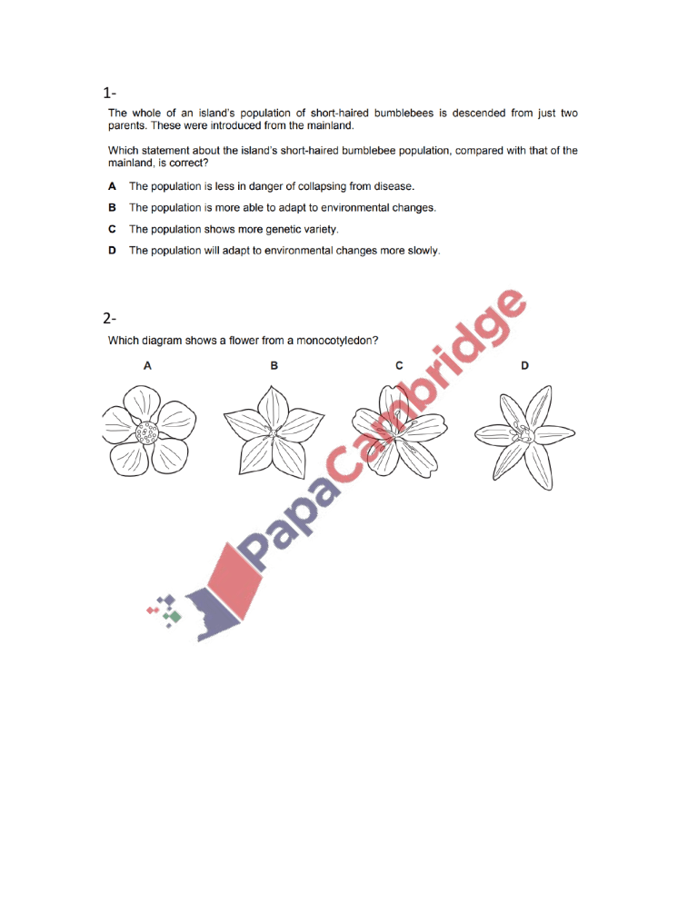Biology Exam Questions: Genetics & Botany