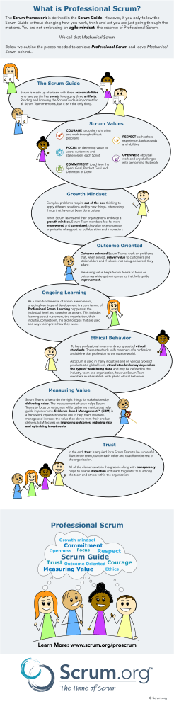 What is Professional Scrum? Agile Mindset & Scrum Guide Explained
