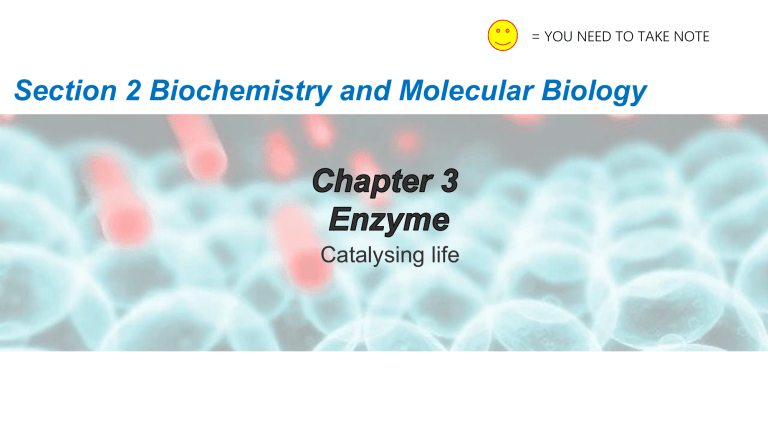 Enzymes: Biochemistry & Molecular Biology Presentation