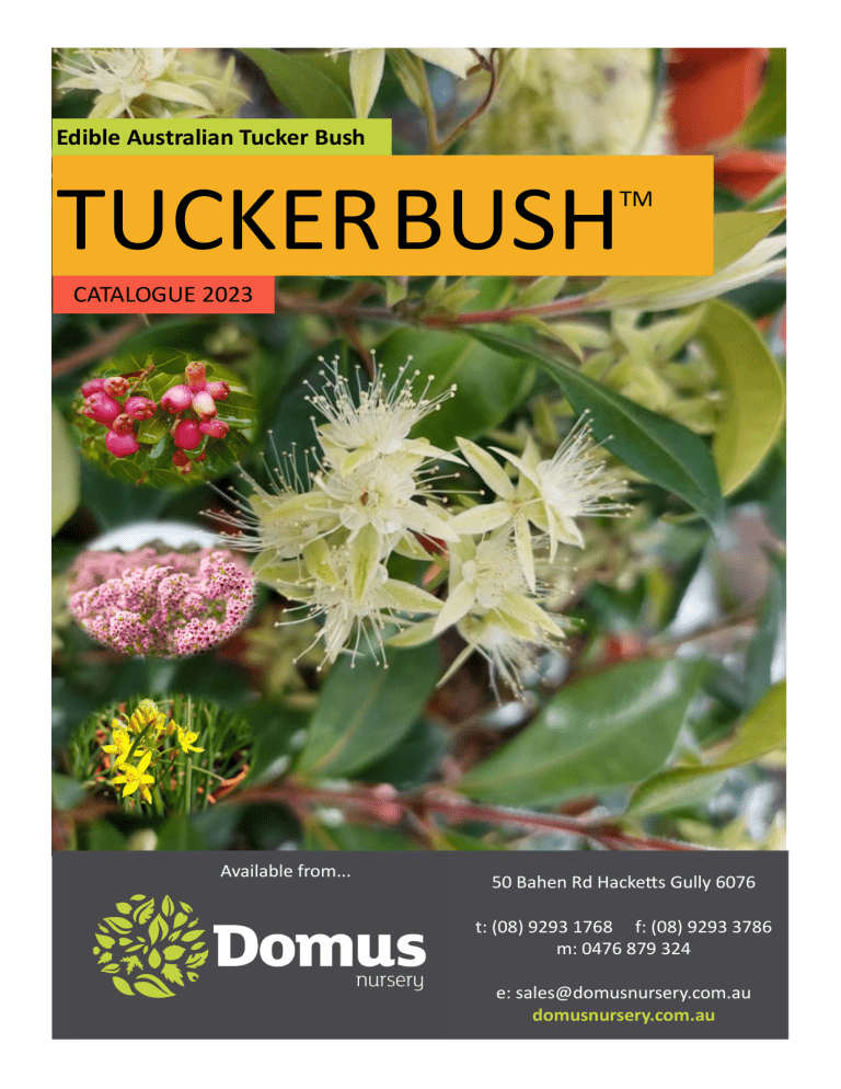 Edible Australian Tucker Bush Catalogue 2023
