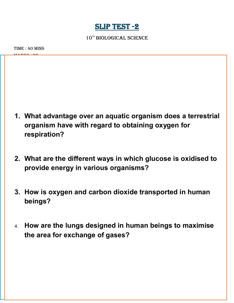 10th Grade Biology Slip Test: Respiration & Gas Exchange Questions